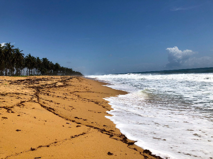 Captain’s Log | The Uncharted Waters – Captain Murray’s | Ébrié Lagoon ...